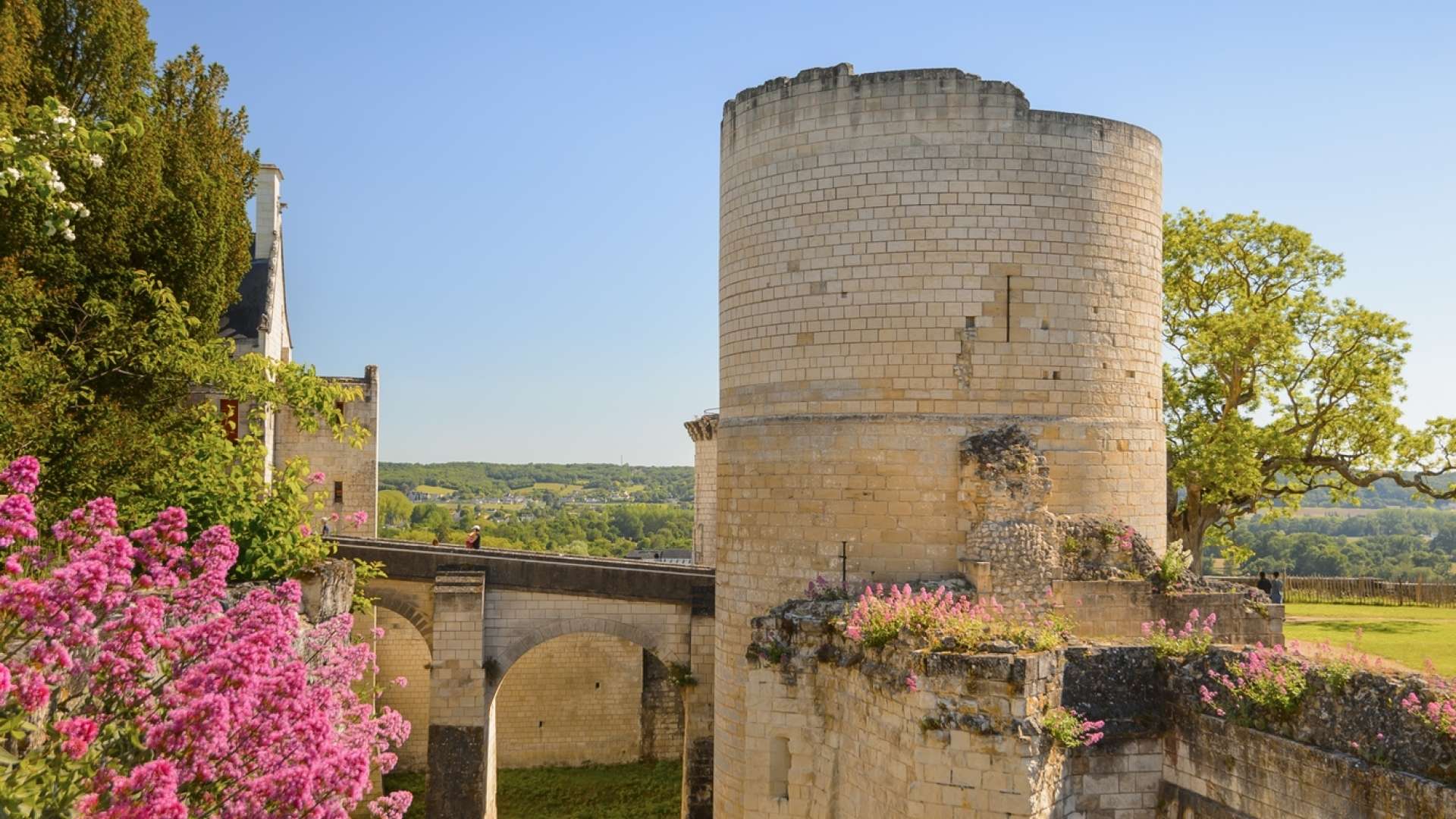 The Coudray Tower | Forteresse de Chinon