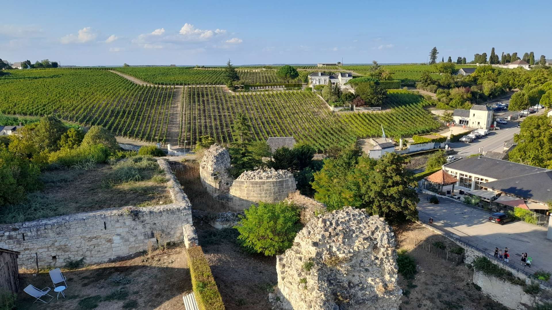 Les vignes à Chinon | Forteresse de Chinon