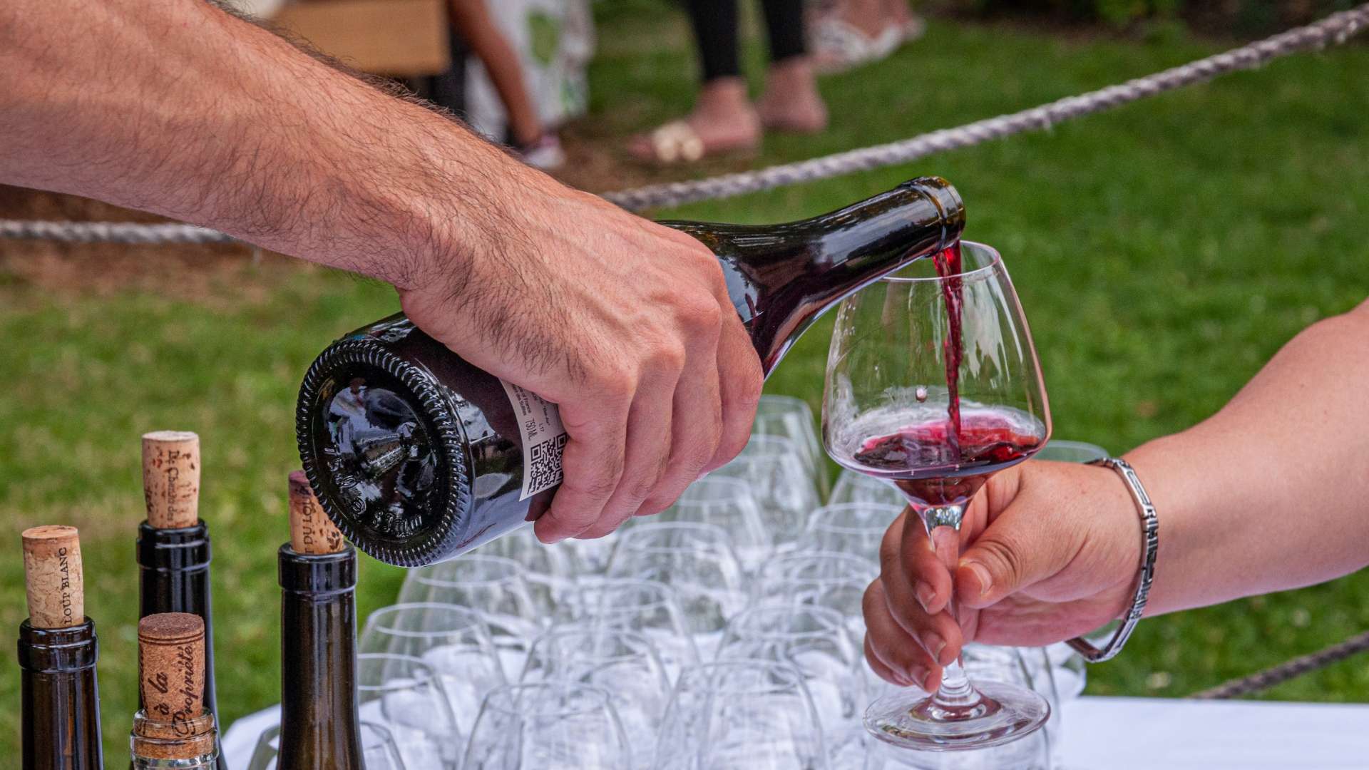 Wine Thursdays | Forteresse de Chinon